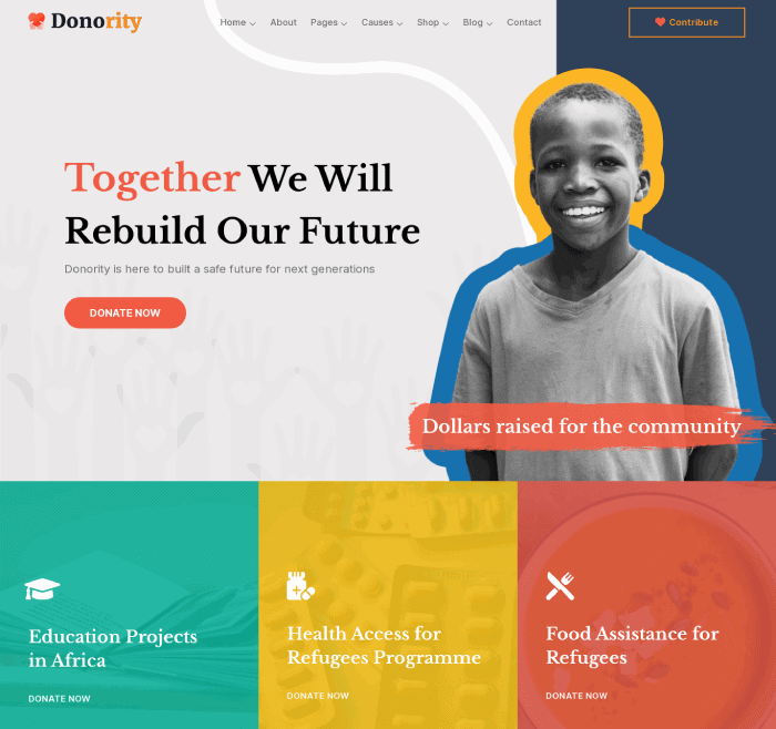 20+ Best Charity WordPress Themes for Non-Profit in 2025