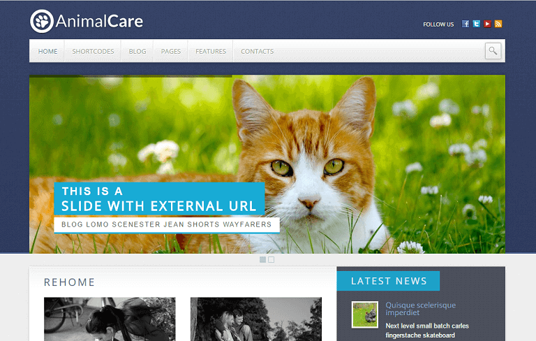10+ Best Animal WordPress Themes of 2026