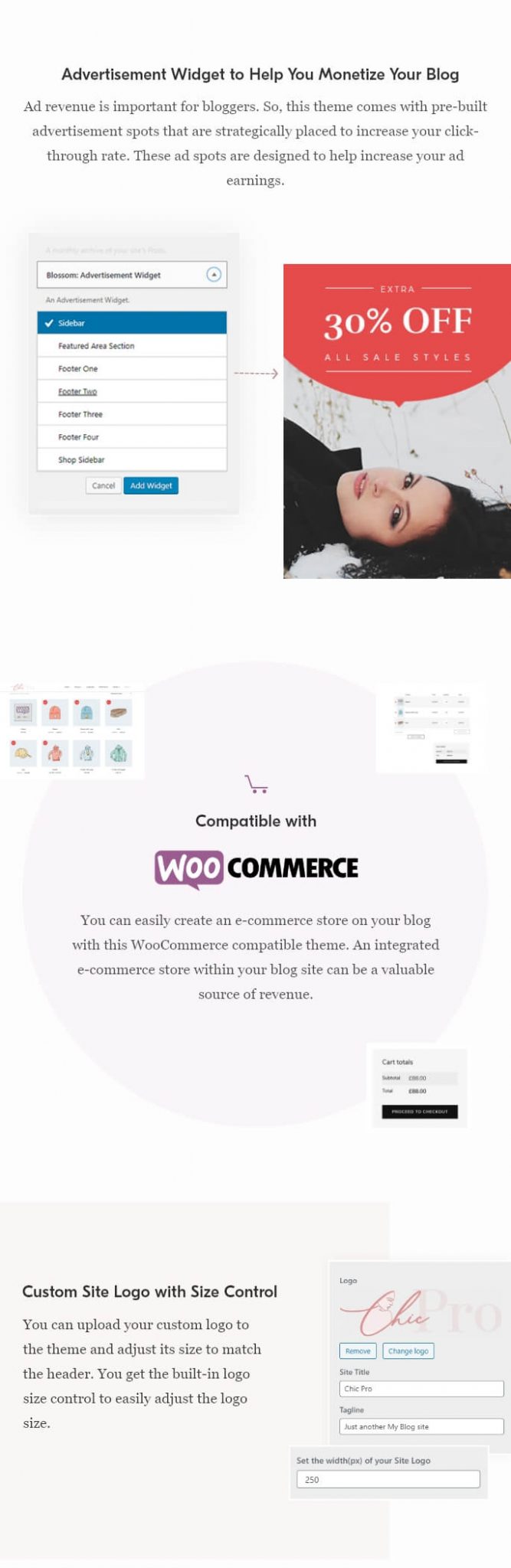 Chic Pro - Best Feminine WordPress Theme for Bloggers