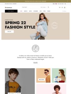 70 Best Free And Premium Wordpress Themes 2021 Rara Themes